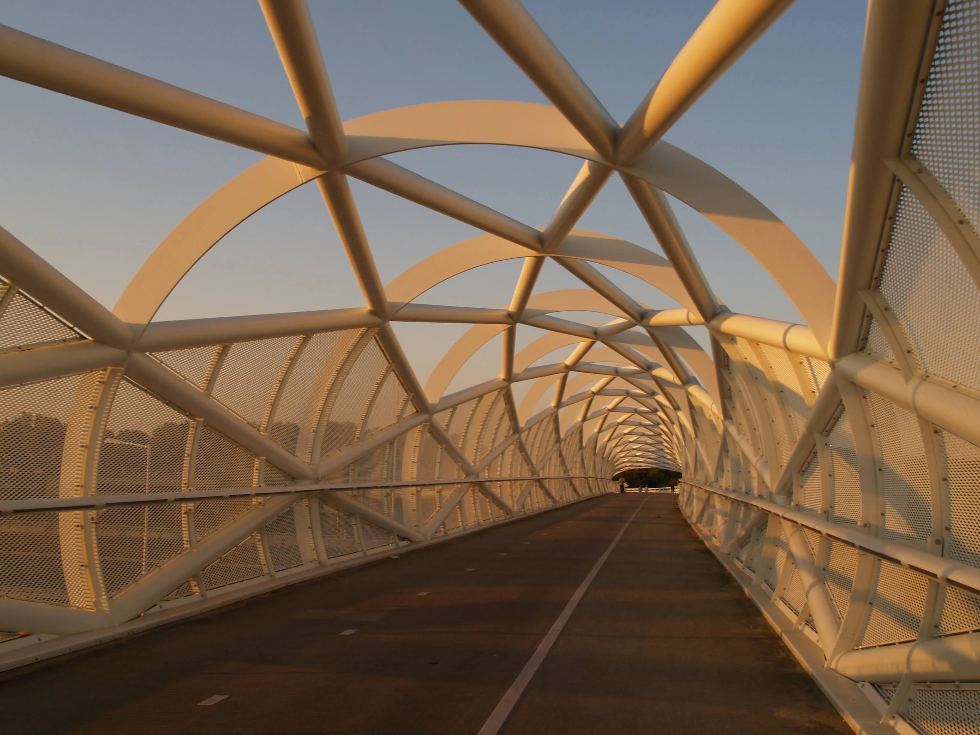 Navisworks Simulate vs Manage: Which Should You Choose?